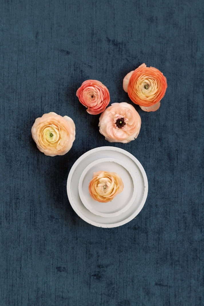 Large Round Flat Concrete Dish – Floret & Fringe, LLC